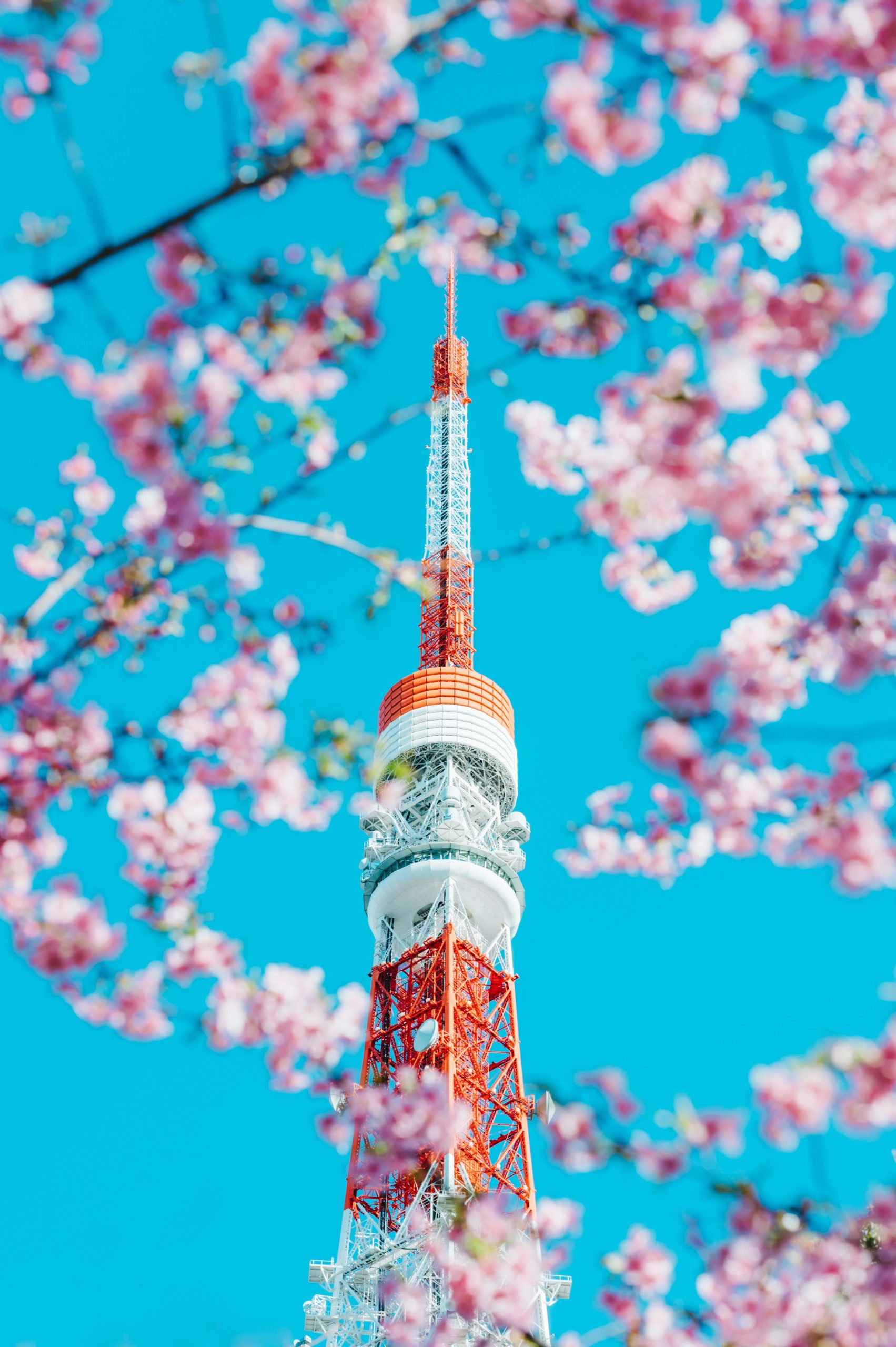 写真ライフ春号No132 特集2 – 日本写真企画 フォトコン